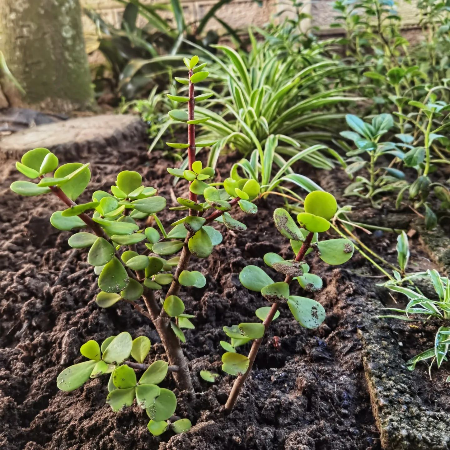 Hluhluwe Imfolozi Experience - Why do I love Hluhluwe Game Reserve